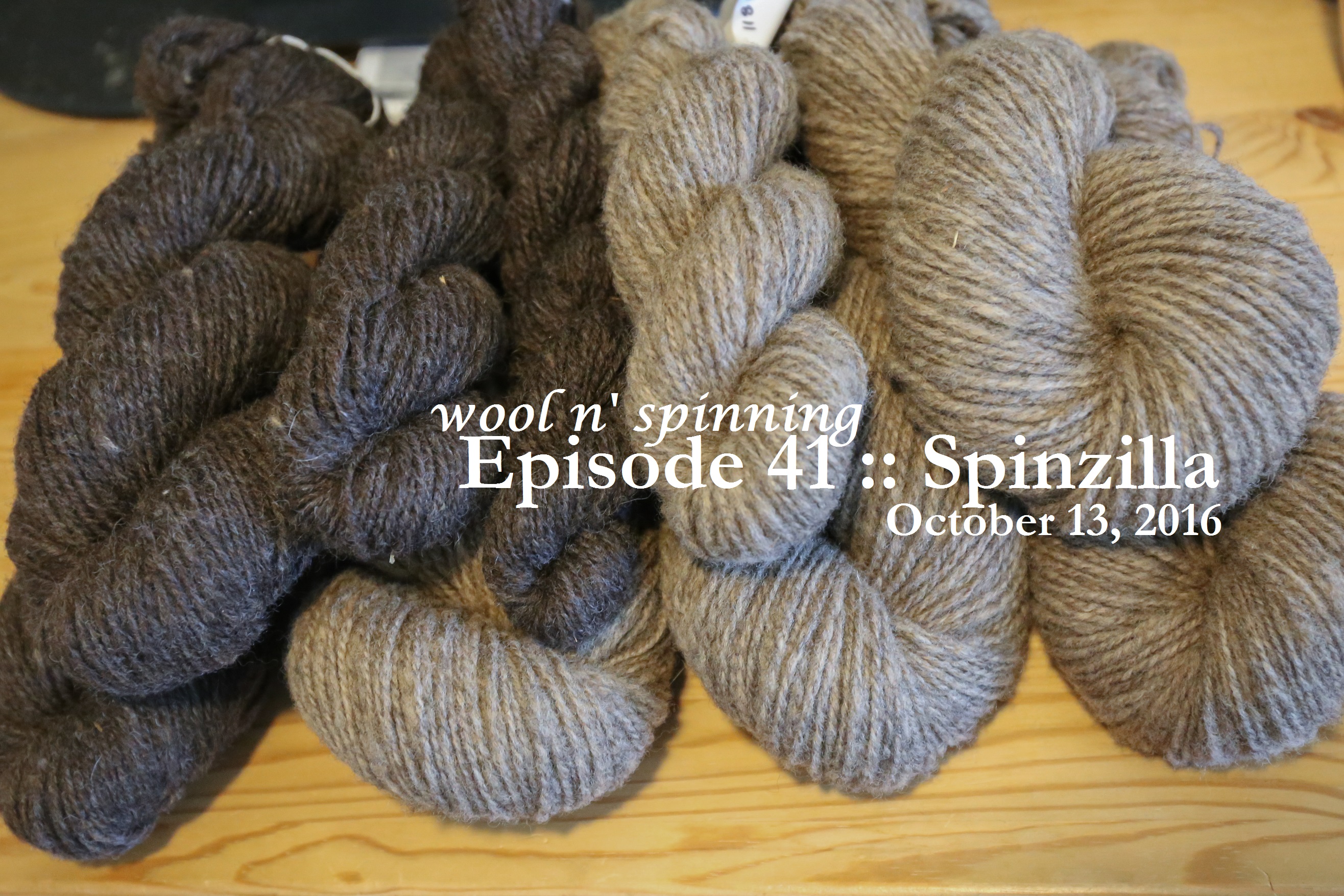 Episode 41 :: Spinzilla – Wool n' Spinning