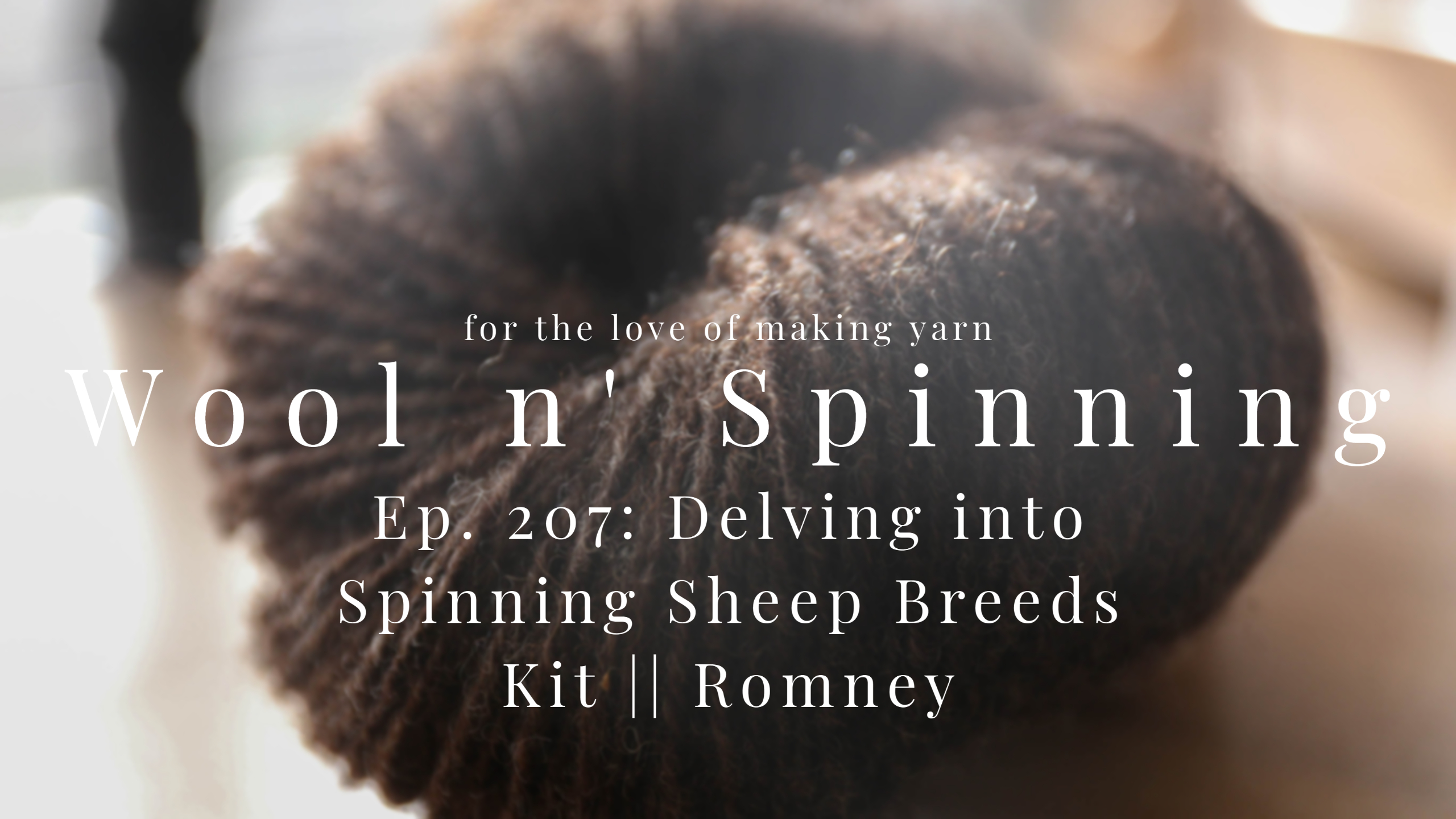 WnS Ep. 207: Delving into Spinning Sheep Breeds Kit || Romney – Wool n ...